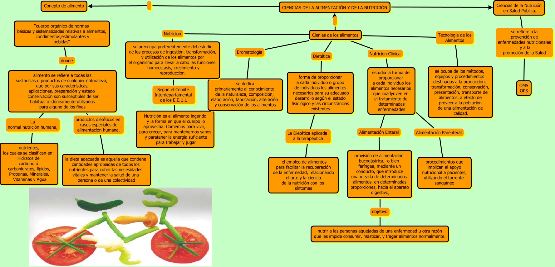 Daniela capunoo (1).cmap